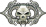 Villain Accolade Badges - Paragon Wiki Archive