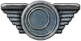 Shrouded Badge - Paragon Wiki Archive